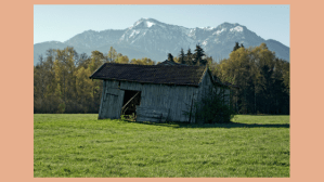 The Science Behind Clutter – The Self Cleaning House